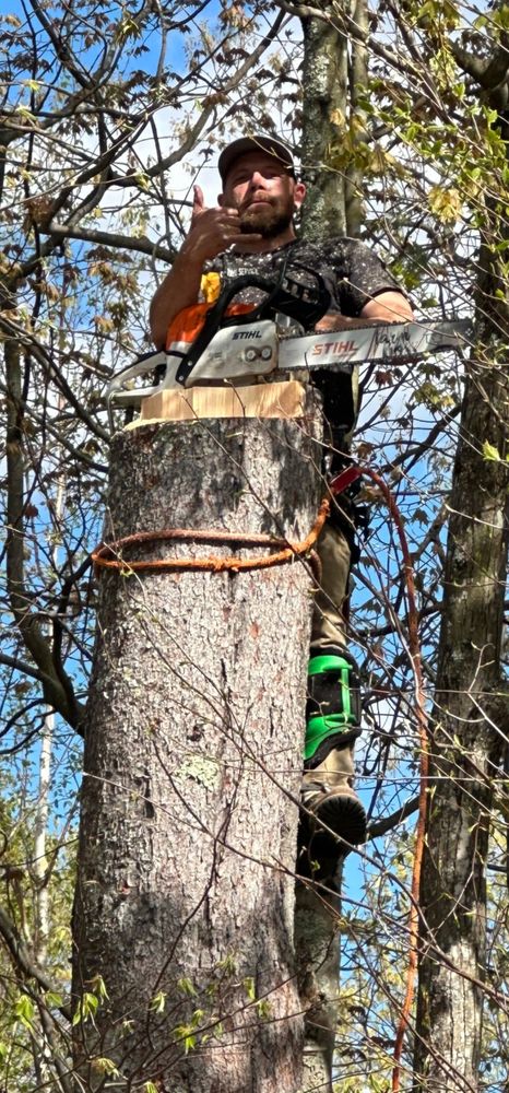 LOBAS TREE SERVICE - Updated December 2025 - 15 Photos - New Ipswich ...