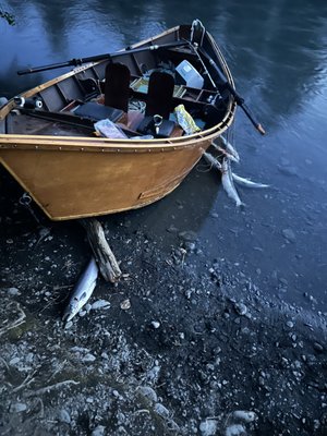 SWANSON RIVER LODGE - Updated December 2025 - 11 Photos - 38670 Swanson ...