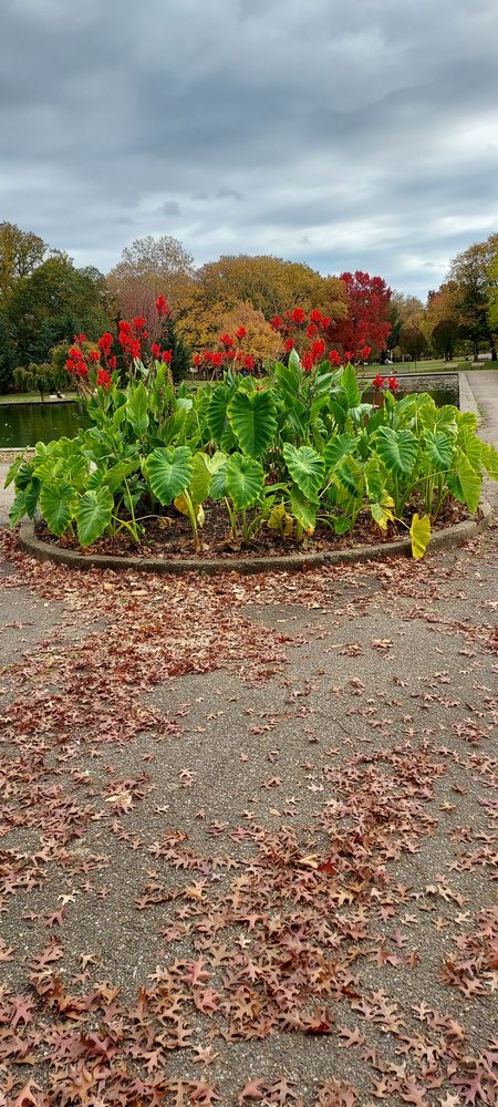 ALLEGHENY COMMONS PARK - Updated July 2025 - 64 Photos & 14 Reviews - W ...