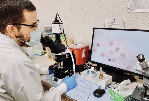 NICL LABORATORIES - Updated November 2025 - 306 Era Dr, Northbrook ...