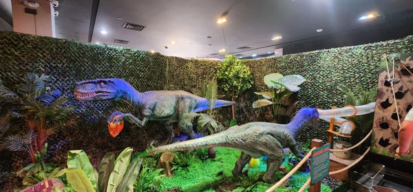 DINOSAUR OUTPOST - Updated September 2025 - 57 Photos & 29 Reviews ...