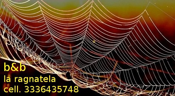 LA RAGNATELA - Updated April 2024 - 26 Photos - Via Garibaldi 60 ...