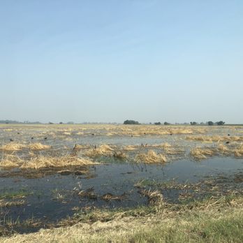 MERCED NATIONAL WILDLIFE REFUGE - Updated January 2026 - 119 Photos ...