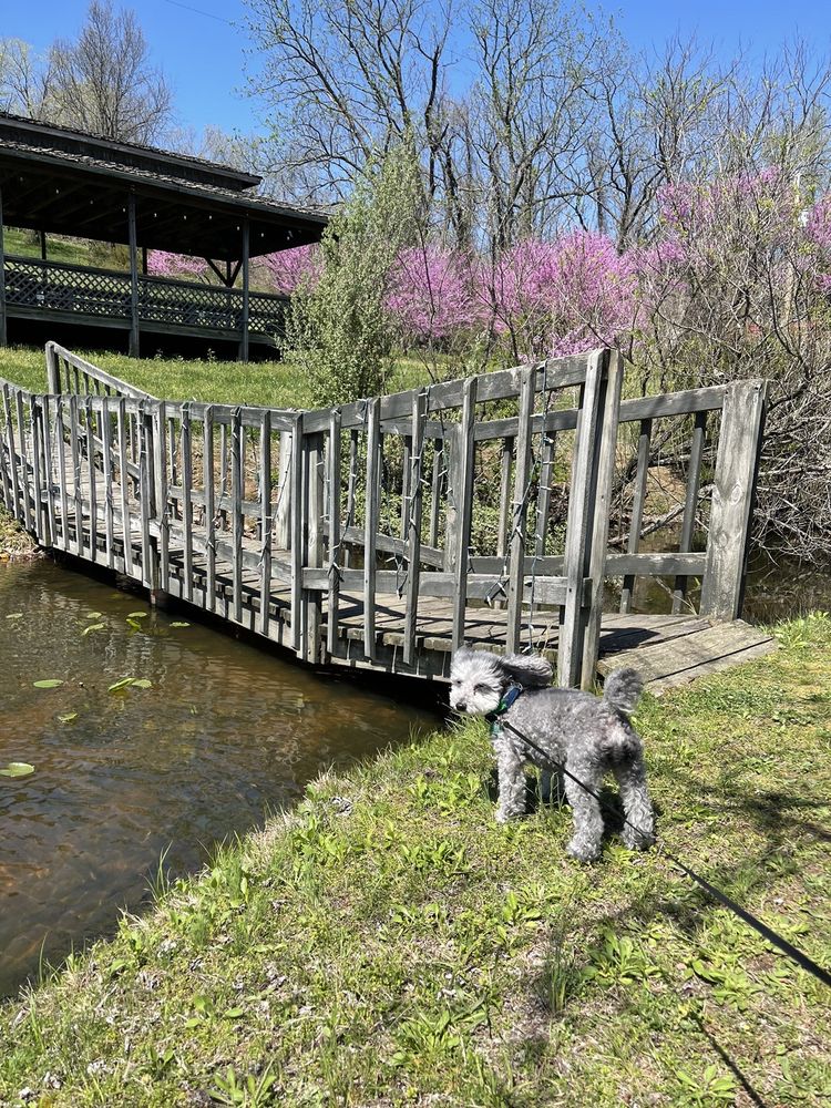 LAURA INGALLS WILDER RV PARK - Updated October 2025 - 11 Photos - 2991 ...