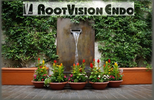 ROOTVISION ENDO - Updated January 2026 - 54 Photos & 212 Reviews - 3663 ...