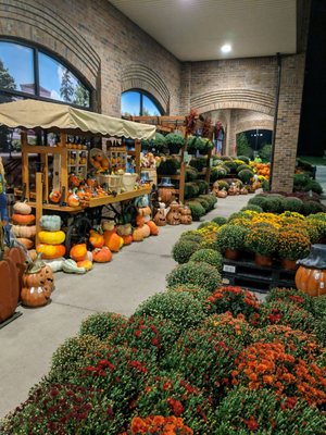 WEGMANS - 211 Photos & 214 Reviews - 601 Amherst St, Buffalo, New York ...