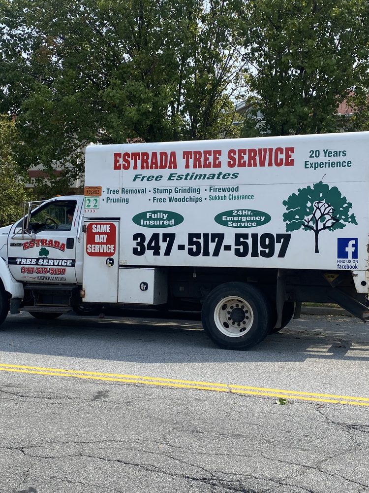 ESTRADA TREE SERVICE - Updated June 2024 - Staten Island, New York ...