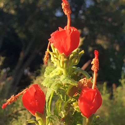 MAMMEN FAMILY PUBLIC LIBRARY - Updated October 2025 - 26 Photos - 131 ...