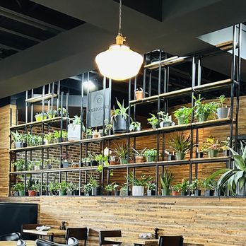 CURIOUSER COFFEE & CONSERVATORY - Updated September 2024 - 80 Photos ...