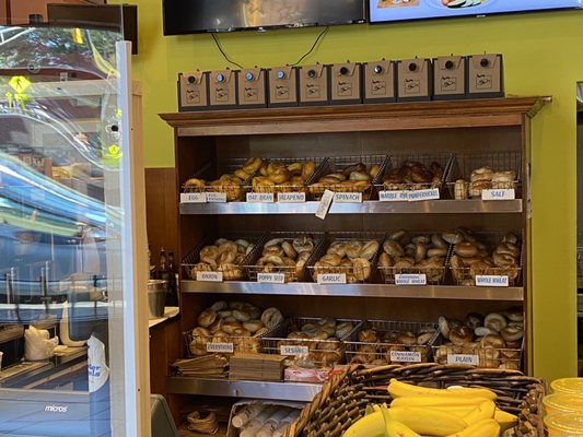 WONDER BAGELS - Updated July 2024 - 101 Photos & 98 Reviews - 729 ...