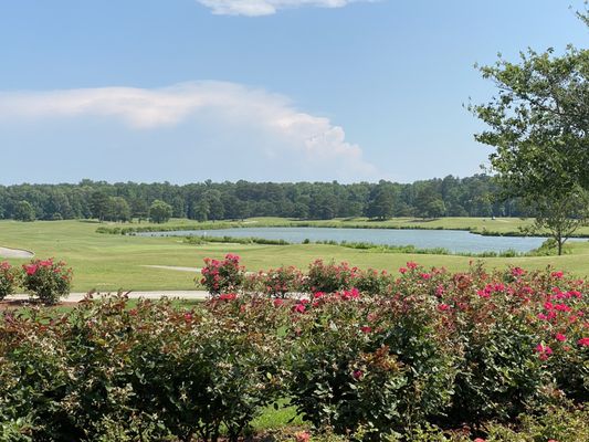 VIRGINIA BEACH NATIONAL GOLF CLUB - 32 Photos & 11 Reviews - Golf ...