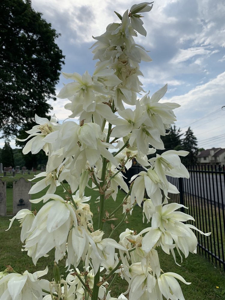 BLENDON CENTRAL CEMETERY - Updated July 2024 - Oh, Schöllnach, Bayern ...