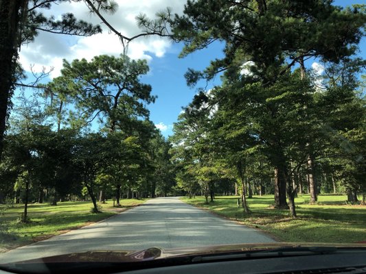 CHEHAW PARK - 74 Photos & 24 Reviews - Parks - 105 Chehaw Park Rd ...