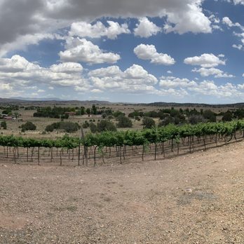 DEL RIO SPRINGS VINEYARD - Updated November 2025 - 26 Photos - 974 N ...