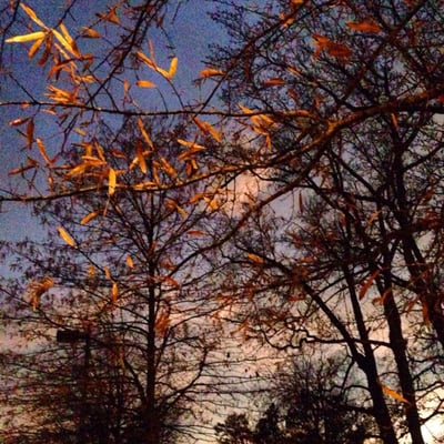 CHEATHAM ANNEX YORKTOWN NAVAL WEAPONS STATION - Updated August 2025 ...