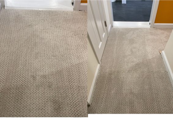 STEAMASTER CARPET CLEANING - Updated December 2025 - 16 Photos & 29 ...