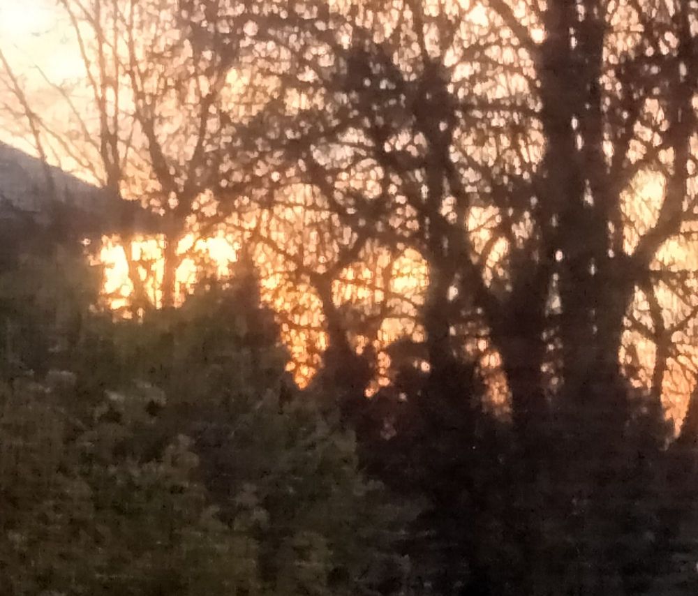 CLIFFVIEW APARTMENTS - Updated June 2024 - 1691 Cliffview Dr, Rochester ...