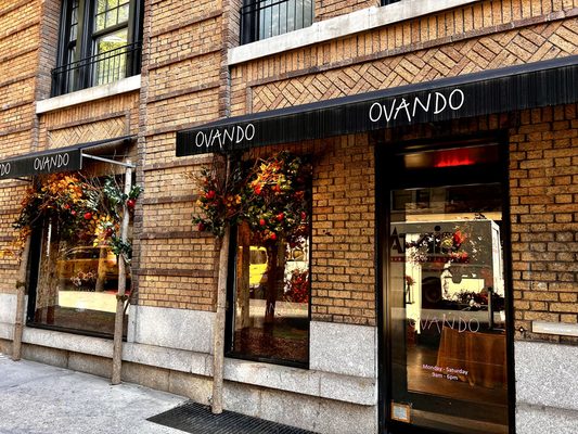 OVANDO BOTANICAL GALLERY - Updated November 2024 - 49 Photos & 50 ...