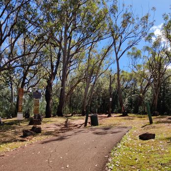 AIEA LOOP TRAIL - Updated April 2025 - 1427 Photos & 314 Reviews - 99 ...