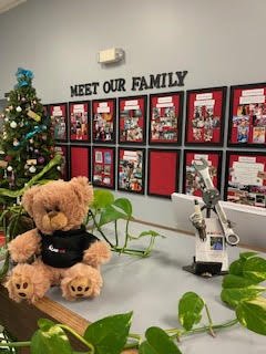 CARFIX - Updated July 2025 - 18 Photos & 53 Reviews - 248 Mast Dr ...