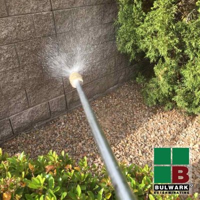 BULWARK EXTERMINATING - 10 Photos & 32 Reviews - 5310 Old Wake Forest ...