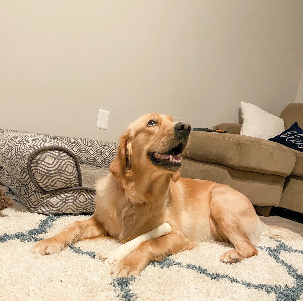 WINGS OF LOVE, KUWAIT - Updated January 2026 - Baltimore, Maryland ...