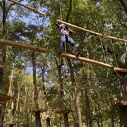 TRINITY FOREST ADVENTURE PARK - 140 Photos & 72 Reviews - 1800 Dowdy ...