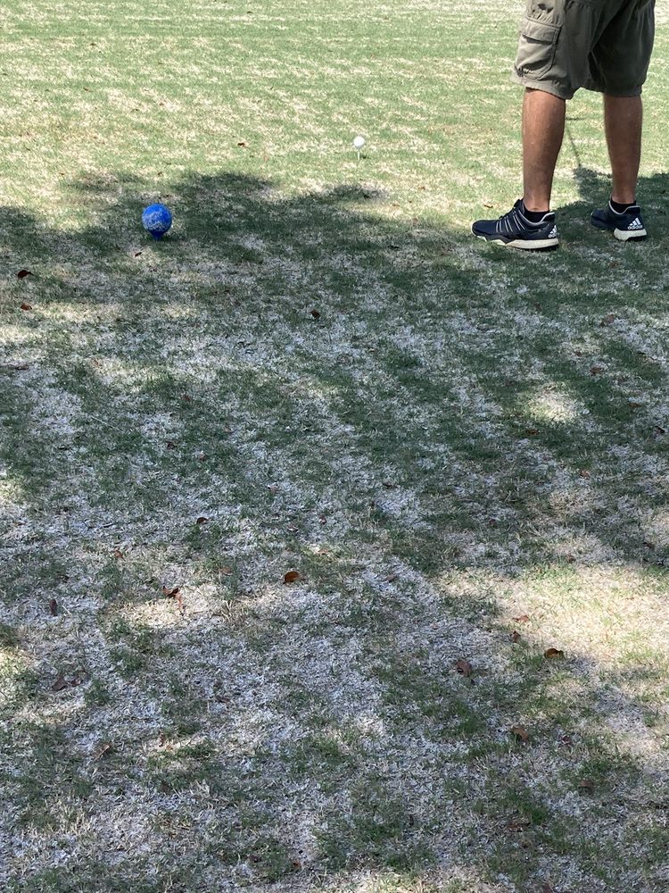 ATLANTIC NATIONAL GOLF CLUB - 22 Photos & 42 Reviews - 6400 Grand ...