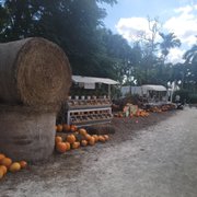 TINEZ FARMS - 258 Photos & 35 Reviews - 16405 SW 177th Ave, Miami, FL ...