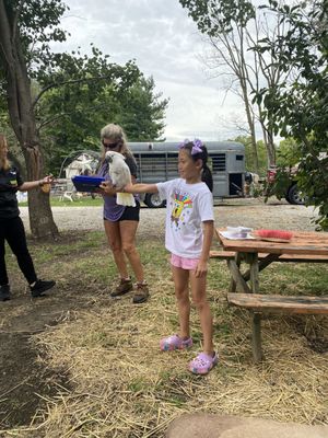 CITY RANCH - Updated August 2025 - 30 Photos - 10884 E County Road 100 ...