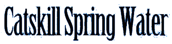 CATSKILL SPRING WATER - Updated January 2026 - 216 Seward Av, Utica ...