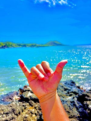 DON ARMENI BOAT RAMP - Updated December 2025 - 29 Photos & 10 Reviews ...