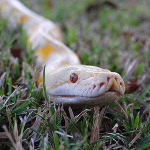 ZOOSIANA ZOO OF ACADIANA - Updated December 2025 - 78 Photos & 41 ...