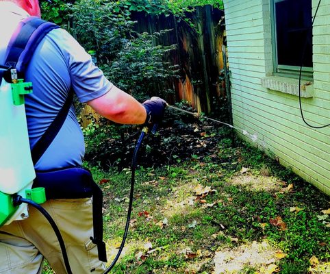 It Bugs Me - Trusted Since 2022 - Updated July 2025 - 13 Photos - 1359 ...