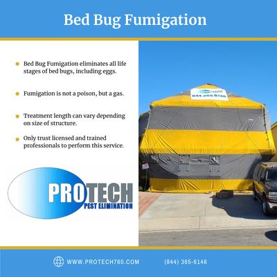 PRO TECH PEST ELIMINATION - Updated October 2025 - 11 Photos & 22 ...