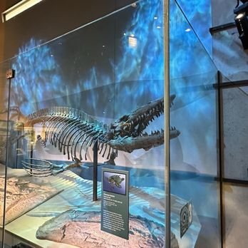 PEROT MUSEUM OF NATURE AND SCIENCE - Updated June 2024 - 2291 Photos ...