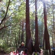 HIDDEN SPRINGS CAMPGROUND - 59 Photos & 32 Reviews - Avenue Of The ...