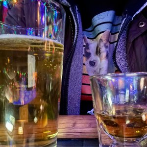 SHEA’S TAVERN - 119 Photos & 77 Reviews - 715 S Virginia St, Reno ...