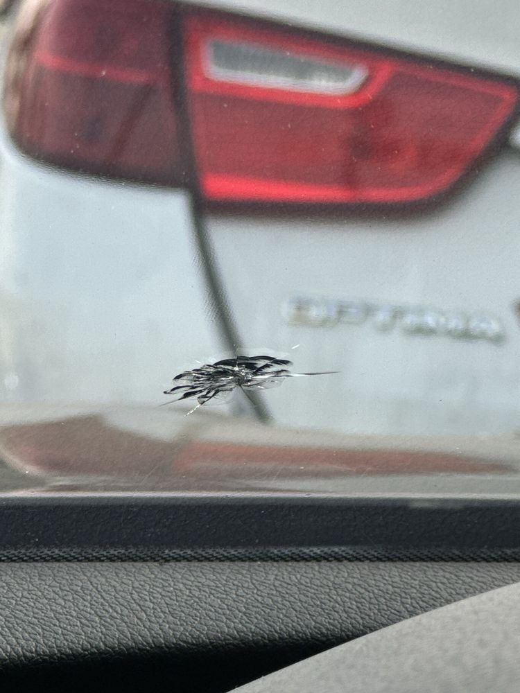 CHAMPS AUTO GLASS - Updated November 2025 - 186 Photos & 449 Reviews ...