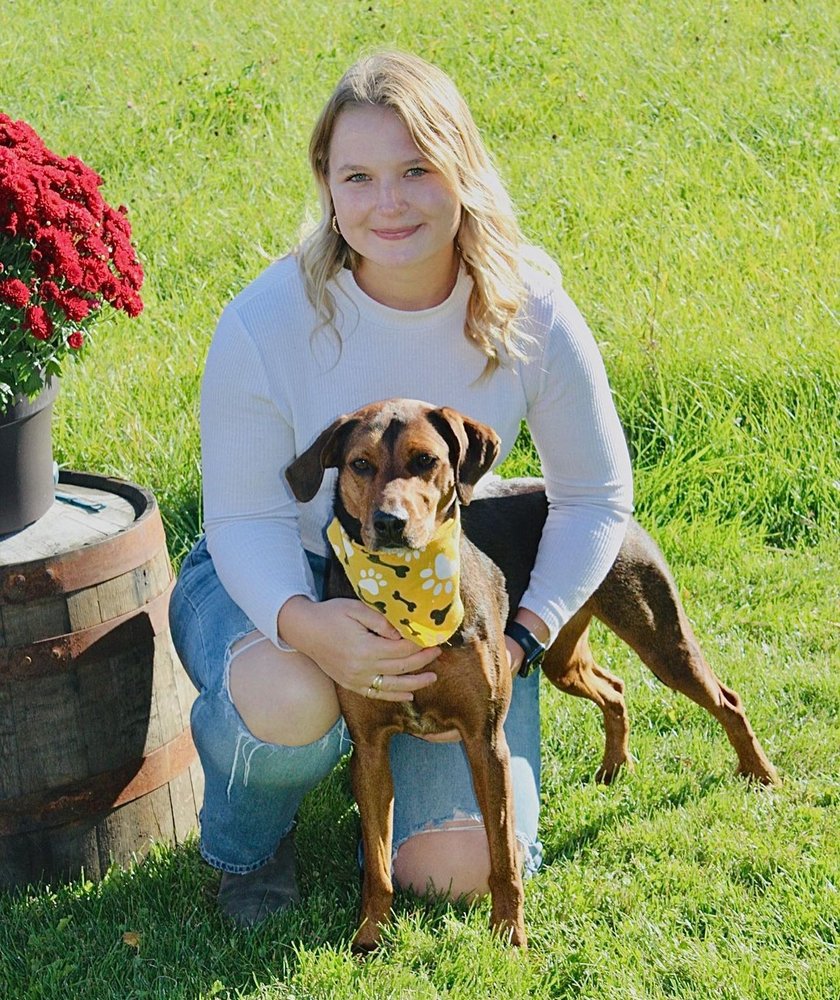 MICHELLE WYNN’S CAPTURES - Updated October 2024 - Request Information ...