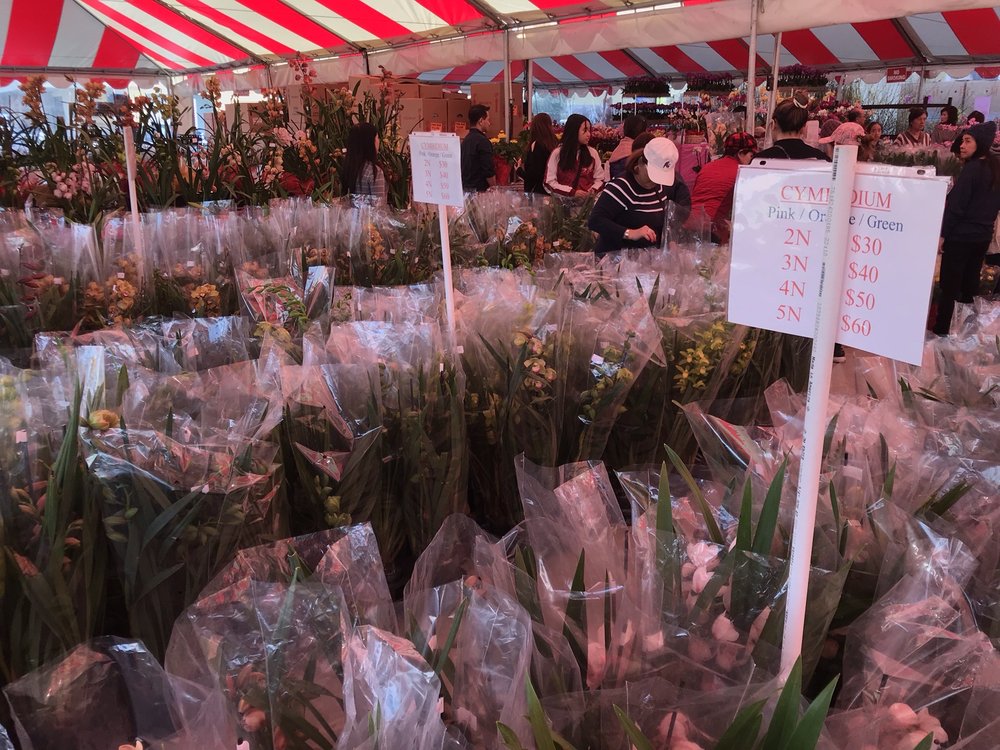 CHO HOA TET - NEW YEARS FLOWER MARKET - Updated July 2025 - Edinger Ave ...