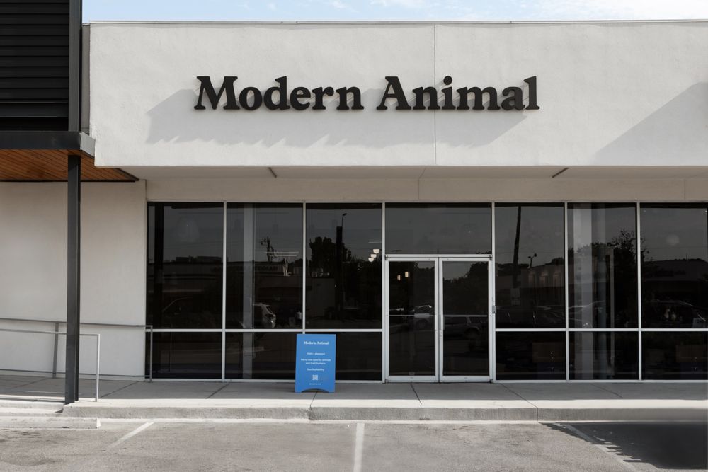 MODERN ANIMAL - Updated October 2025 - 28 Photos & 26 Reviews - 6465 E ...