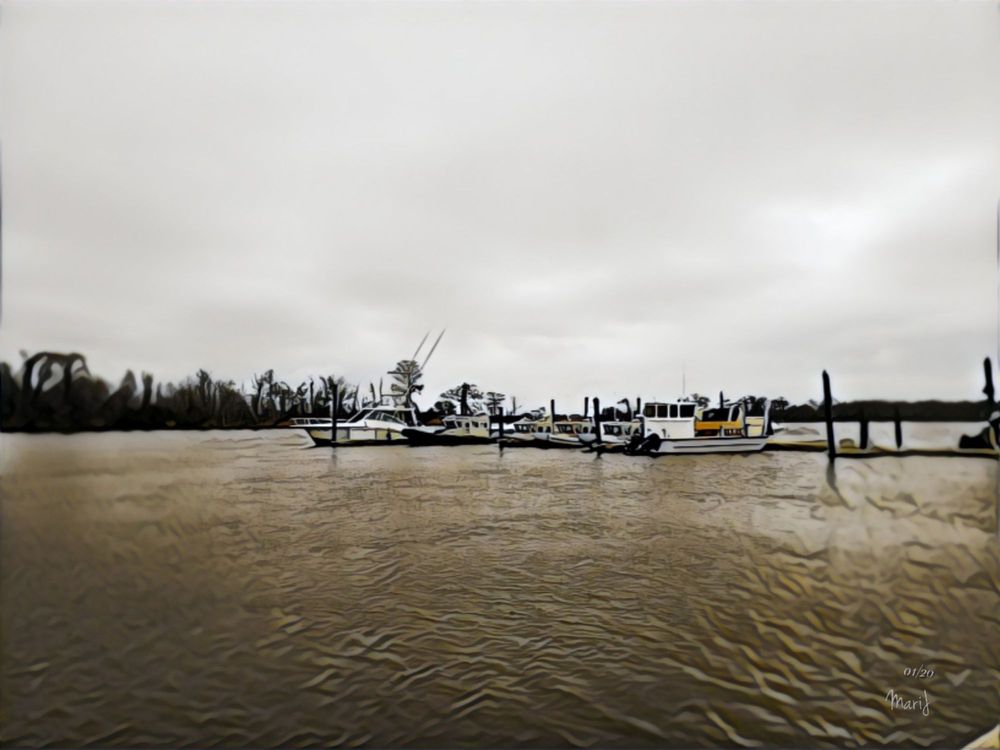 TWO-WAY FISH CAMP - 250 Ricefield Way, Brunswick, Georgia - Phone ...