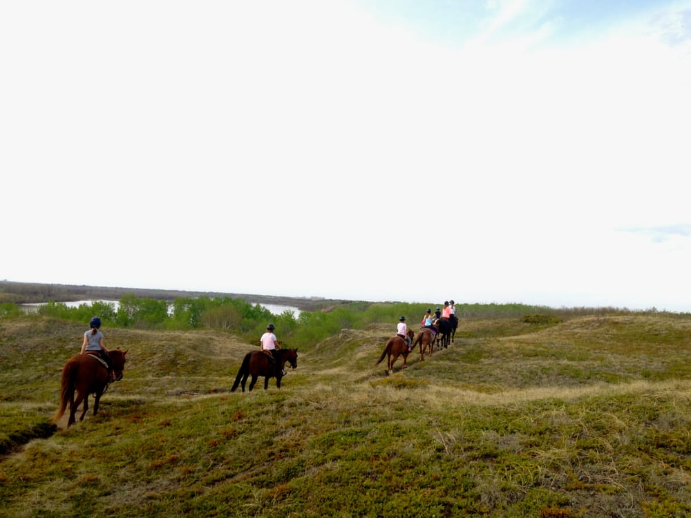 SANDHILLS STABLE - Updated October 2024 - Route 8, Saskatoon ...