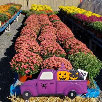 DEMAREST FARM - Updated October 2025 - 871 Photos & 366 Reviews - 244 ...