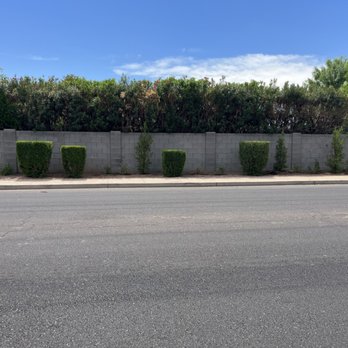 MOON VALLEY NURSERIES - Updated July 2025 - 184 Photos & 138 Reviews - 1828 N 52nd St, Phoenix ...