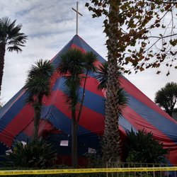 FIRST CLASS FUMIGATION - 16 Photos & 14 Reviews - 1767 Junction Ave ...