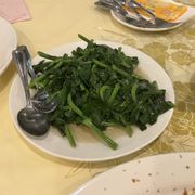 CANTON MANOR - 225 Photos & 64 Reviews - 220-15 Northern Blvd, Bayside ...