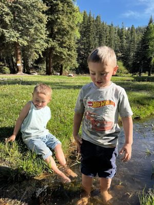 FUN VALLEY FAMILY RESORT - Updated December 2025 - 87 Photos & 45 ...