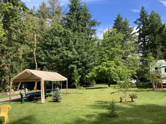 SHADY REST CAMPGROUND AND WHISKY BAR - Updated September 2025 - 13 ...